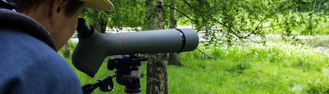 6 Best Birdwatching Spots Near Camp Belgrave