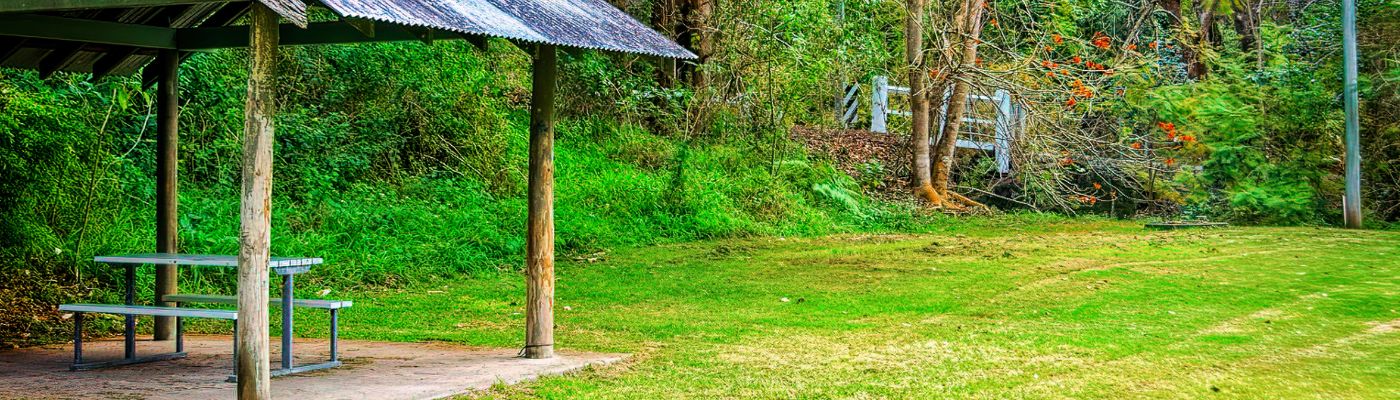 12 Best Picnic Spots in the Dandenong Ranges